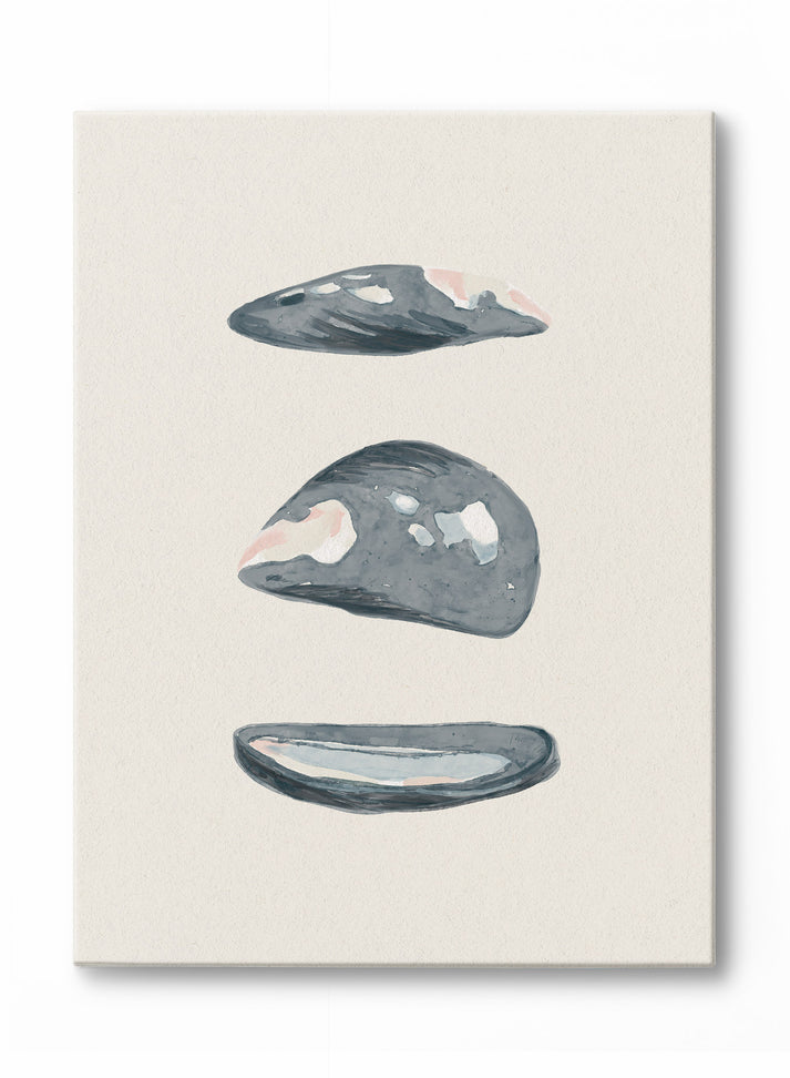 Mussel Memory | Shop Posters & Prints Online at Opposite Wall