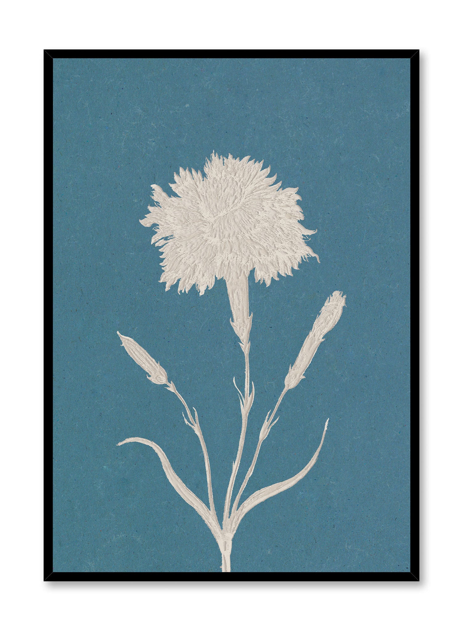 Papercut Carnation | Shop Posters & Prints Online at Opposite Wall