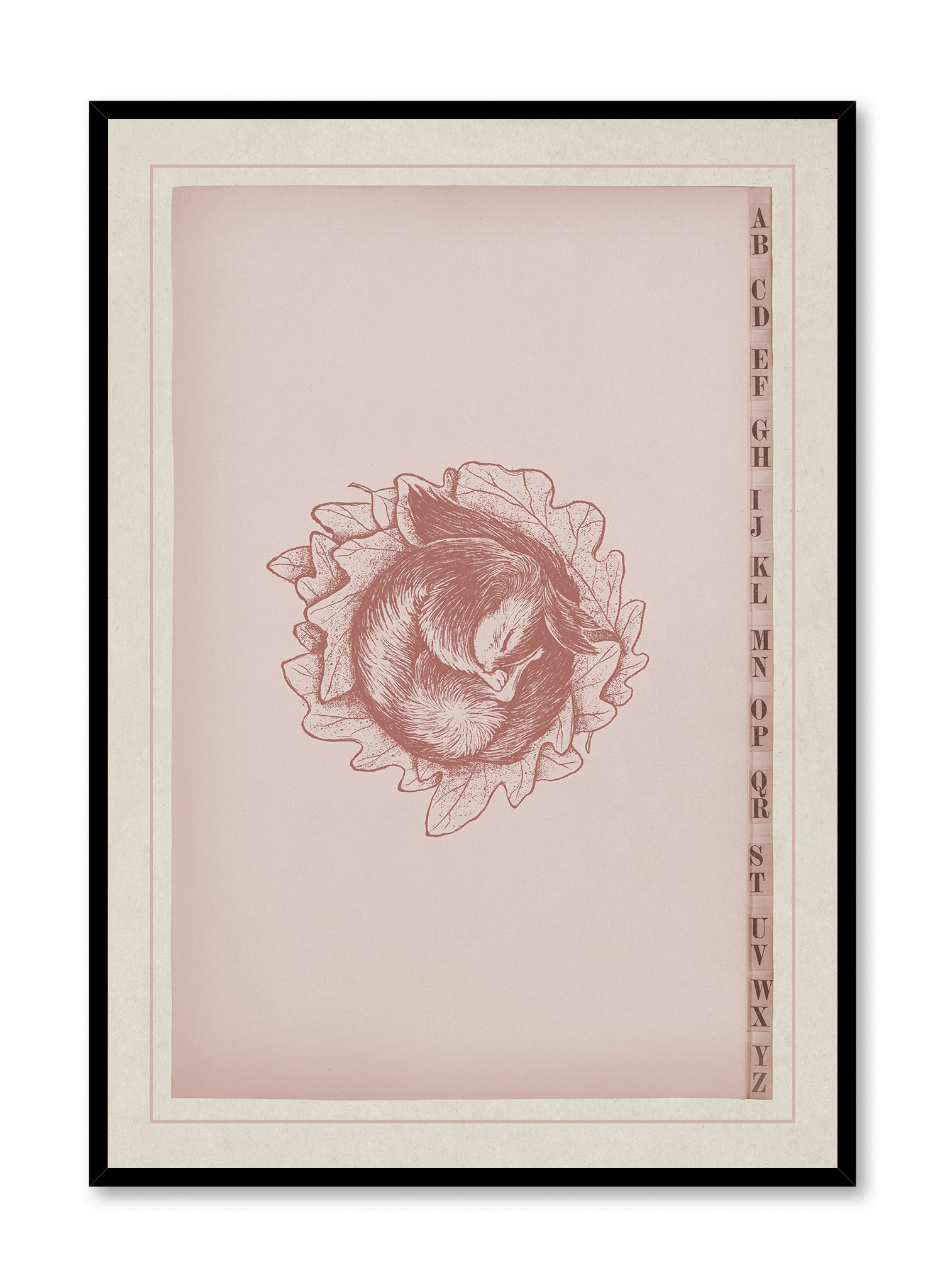 Nap Time Mrs. Squirrel | Shop Posters & Prints Online at Opposite Wall