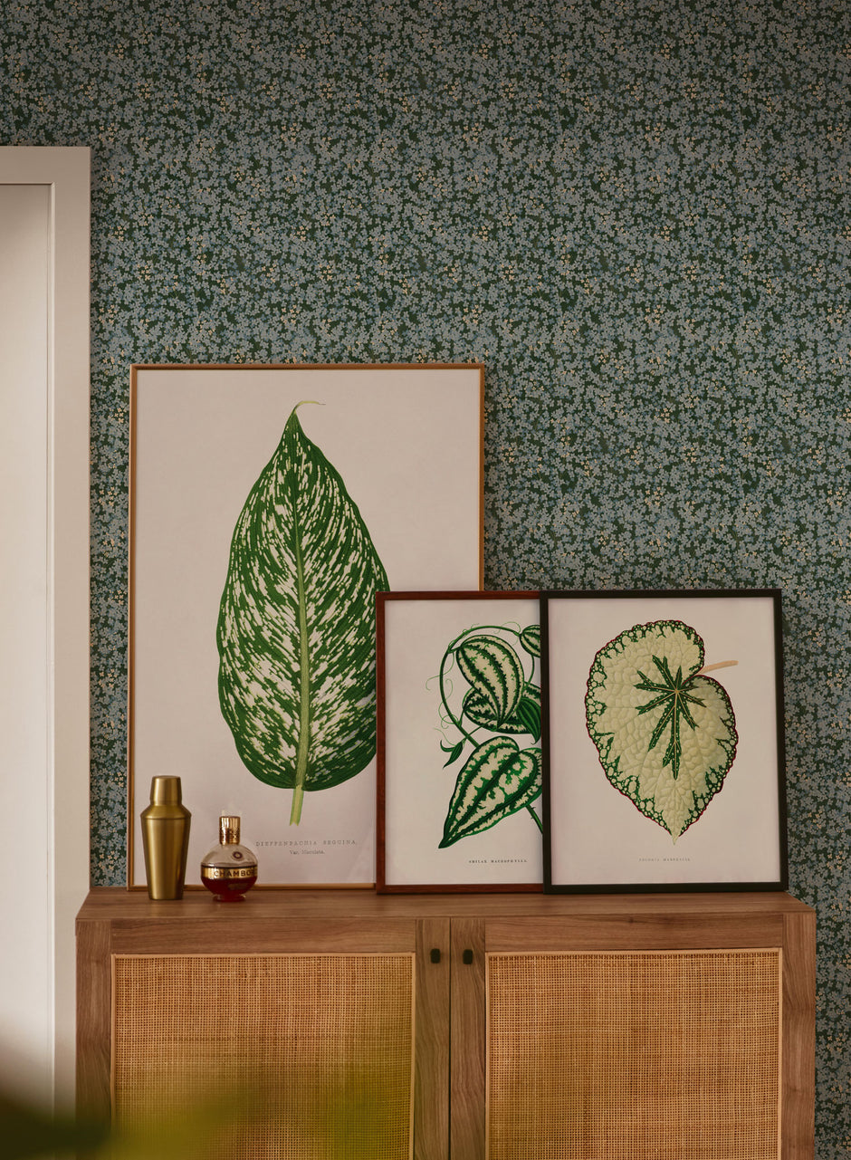 Bloom – Opposite Wall