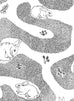 Bunny Burrow Wallpaper by Opposite Wall