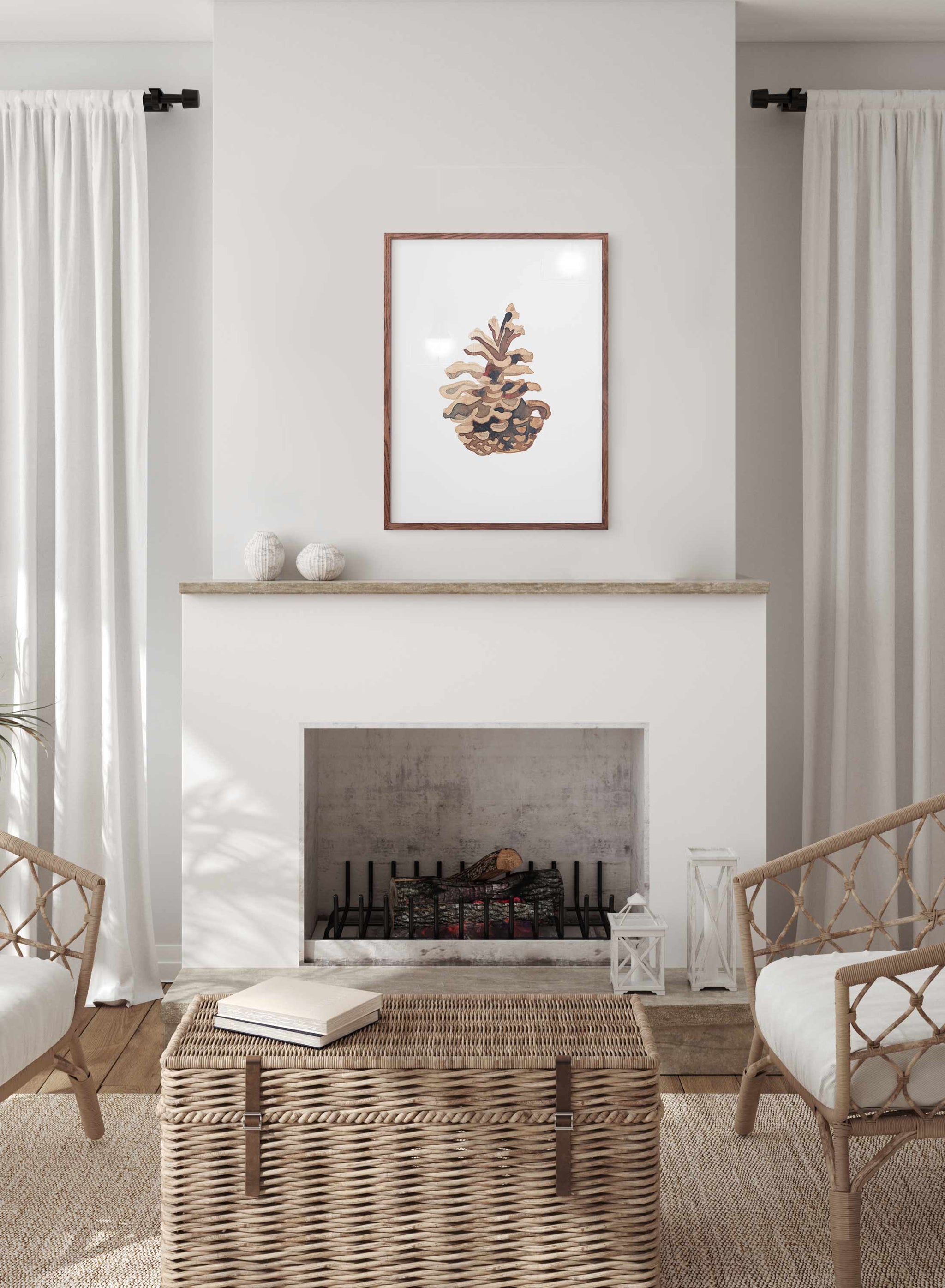 Pine Cone | Shop Posters & Prints Online at Opposite Wall