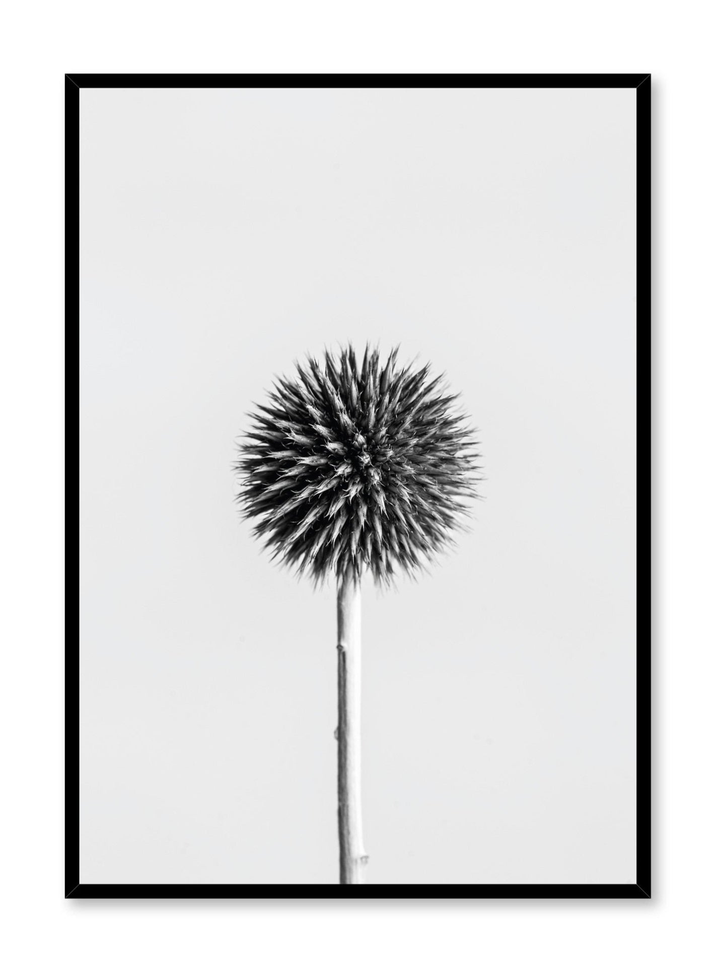 Floral Print Thistle - Botanical Prints - Flower Wall Art | Opposite Wall
