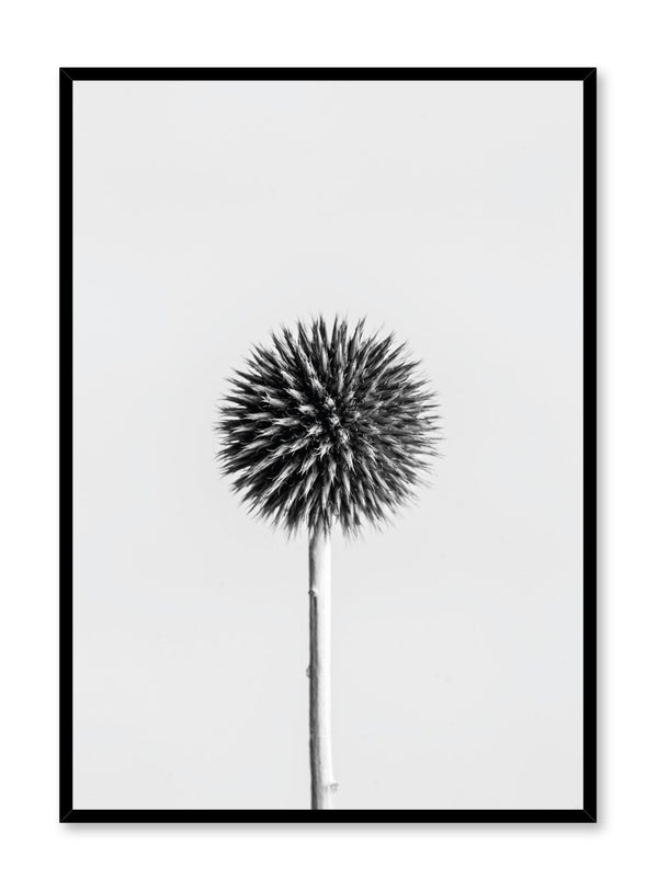 Floral Print Thistle - Botanical Prints - Flower Wall Art | Opposite Wall
