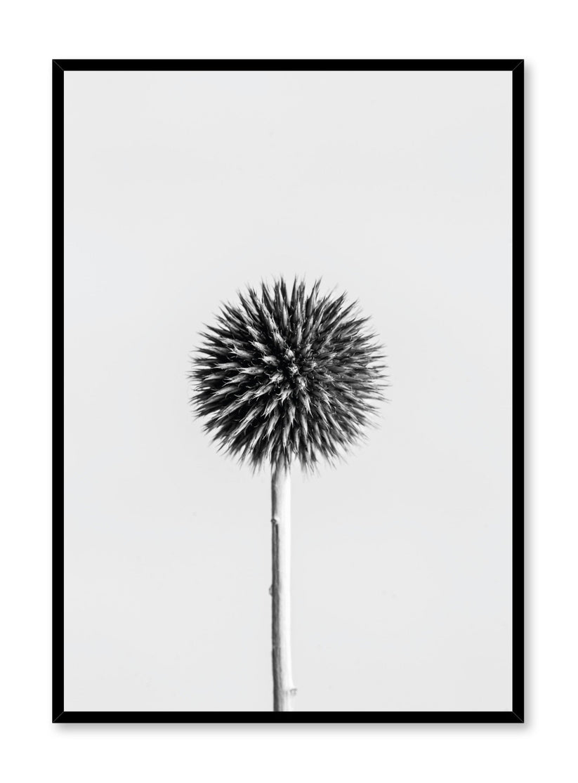 Floral Print Thistle - Botanical Prints - Flower Wall Art | Opposite Wall