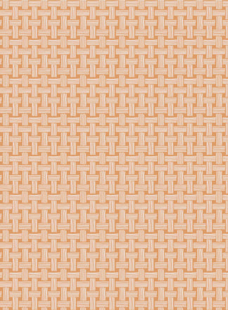 Basket Case | Basket Weave Pattern Wallpaper by Opposite Wall