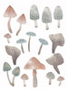 Funky Funghi Removable Wall Decals & stickers | Opposite Wall