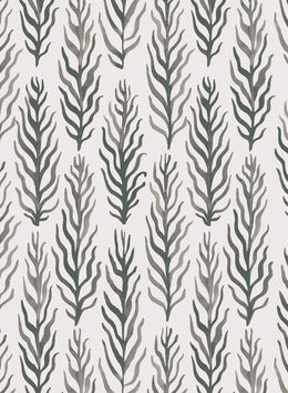 Sapling | Little Tree Plant Wallpaper by Opposite Wall